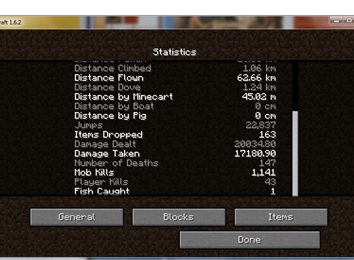 Most Lifetime Damage Taken In "Minecraft" | World Record | Jeremy ...