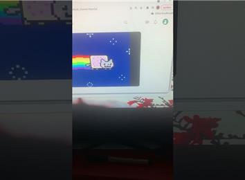 Most Windows Playing Nyan Cat At Once | World Record | Zoilo Adalia