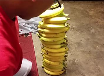 Tallest Banana Tower | World Record | Jonathan Mireles