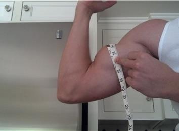 15 Inch Biceps Flexed