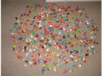 Largest Crisp Packet Triangle Collection | World Record | Seb Wescott