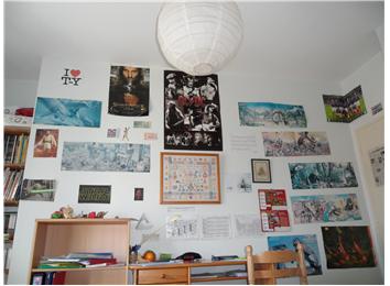 Most Wall Posters In A Bedroom | World Record | The French One