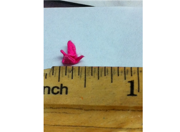 Smallest Origami Crane | World Record | Trevin Green