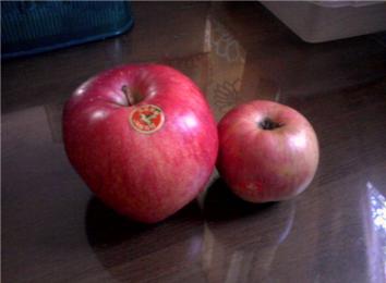 Largest Apple | World Record | Nikki Cuaton