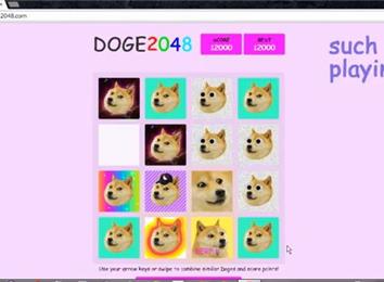Highest Score In Doge 2048 Online World Record Joseph Kenneally