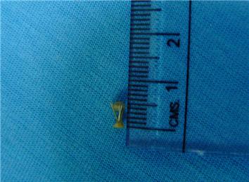 Smallest Trophy | World Record | Yogesh Barnela