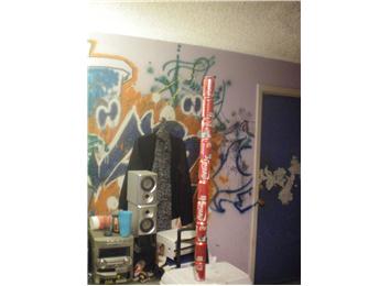 Tallest Soda Can Tower | World Record | Anthony Rodriguez