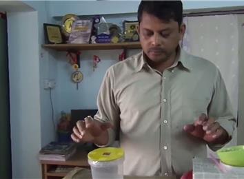 Fastest Time To Place 100 Dried Peas In A Box Using A Straw | World ...