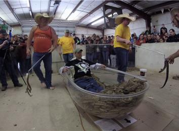 Rattlesnake World Records