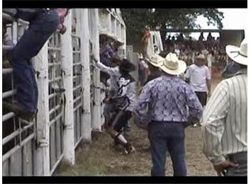 Bull Riding World Records