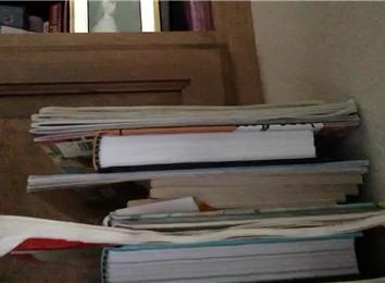 Tallest Book Tower Stacked In A Corner | World Record | Louisa