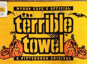 Largest Terrible Towel Collection | World Record | Emmett Newsome