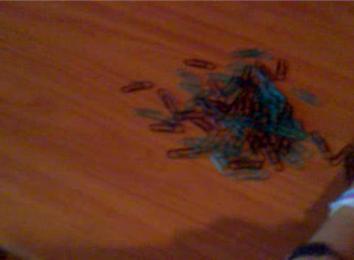 Paper Clip World Records