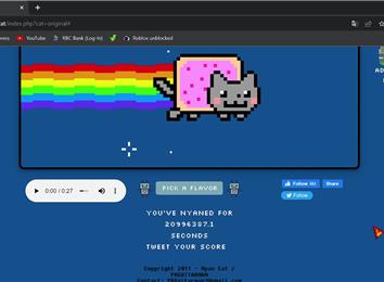 Longest Non-Stop Nyan Cat | World Record | Tim Yarov