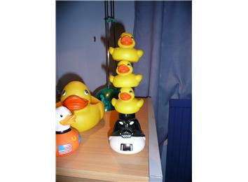 Tallest Rubber Duck Tower | World Record | James Parascandolo