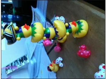 Tallest Rubber Duck Tower | World Record | David Cole