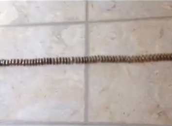 Longest Coin Domino Chain | World Record | Tyler Stigall