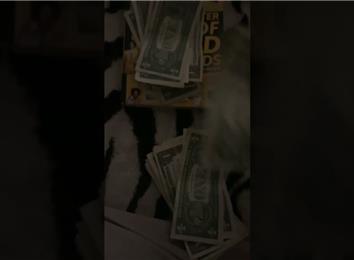 Tallest Bill Tower Balanced On A Recordsetter Book Of World Records ...