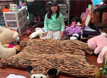 Tallest Stuffed Animal Tower | World Record | Vincent Lau