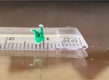 Smallest Origami Crane | World Record | Eddie