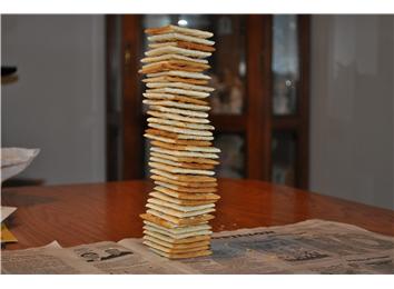 Tallest Saltine Cracker Tower | World Record | Josh Healy