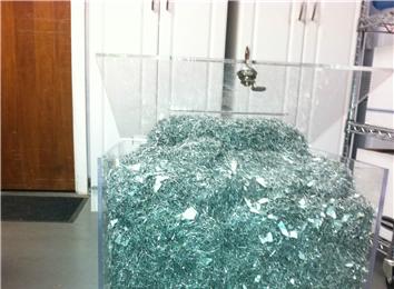 Largest Staple Ball | World Record | Access Imaging Solutions