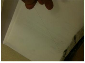 Longest Back Hair (Male) | World Record | Dan Knapik