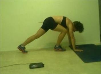 Most High Leaping Mountain Climber Plyometric Alligator Push-Up ...