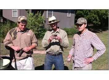 Debreasting World Records