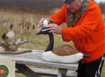 Farthest Distance To Hit An Egg On Top Of A Wooden Goose's Head With A ...