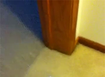 Longest Paper Slinky | World Record | Ryan Waryas