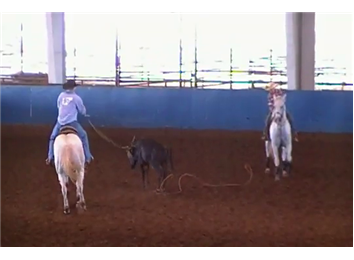 Team Roping World Records