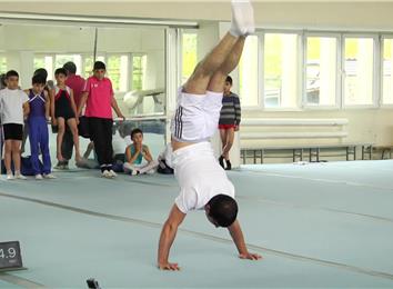 Most Handstand Push-Ups In One Minute | World Record | Manvel Mamoyan