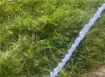 Longest Paper Slinky | World Record | Pooja Jit