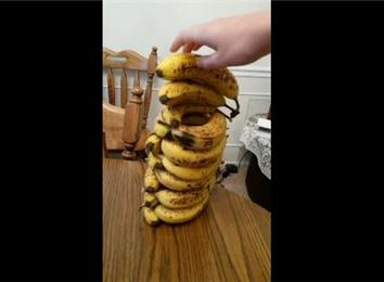 Tallest Banana Tower | World Record | bananaKiwi