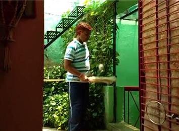 Most Bounces Of A Baseball On A Broom | World Record | Suresh Gaur