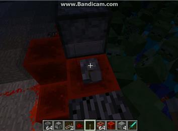 Minecraft World Records