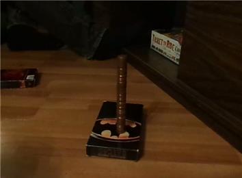 Tallest Penny Tower | World Record | Aline Litt