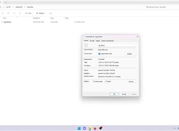 Largest File Size | World Record | WISS Yoann