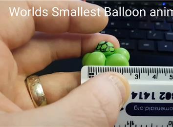 Smallest Balloon Animal | World Record | BalloonNinja