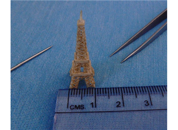 Smallest Model Of Eiffel Tower | World Record | Yogesh Barnela