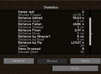 Farthest Distance Fallen In "Minecraft" | World Record | Vigi