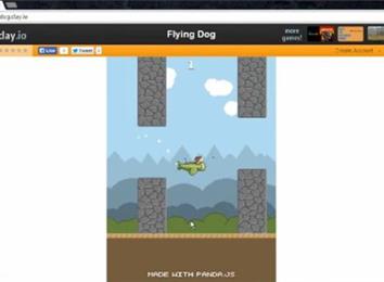 Flying Dog World Records