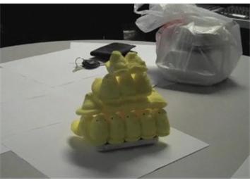 Most Peeps Balanced On An iPhone | World Record | Ryan Shannon