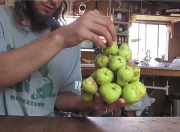 Pear World Records