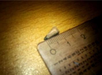 Smallest Pencil | World Record | Jakub Piatek