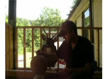 Tallest Penny Tower Stacked On A Basketball On Vase | World Record ...