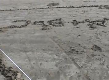 Largest Pythagorean Theorem Written On Sand | World Record | VTKlustrum