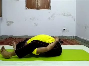 Sleeping Tortoise World Records