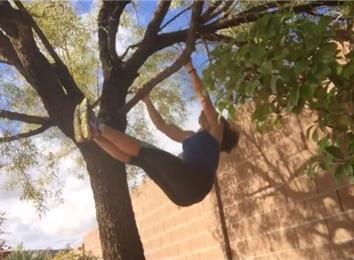 Most Consecutive L Pull-Ups On A Tree Branch In One Minute | World ...